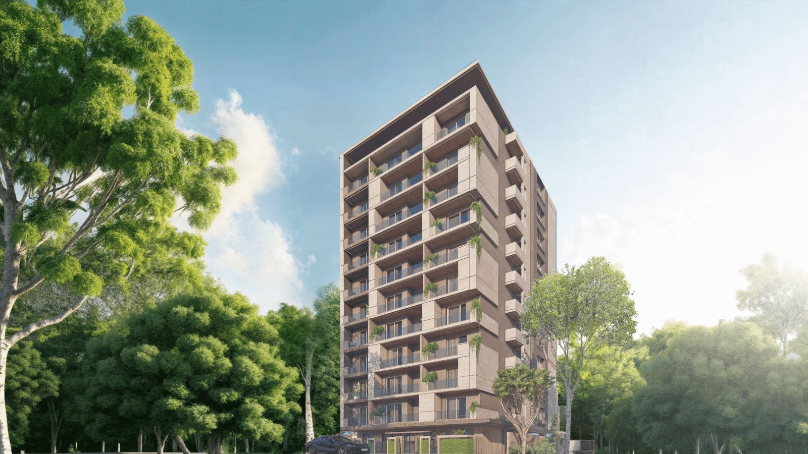 Jasmine – Ava Visuals